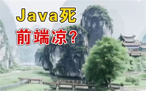 Java已死?前端已凉?说说我的看法 程序员鱼皮 程序员鱼皮 哔哩哔哩视频 Java已死?前端已凉?说说我的看法 程序员鱼皮 程序员鱼皮 哔哩哔哩视频