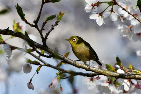 Advanced Time Series Forecasting With Sktime Towards Data Science