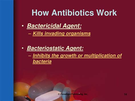 © Paradigm Publishing Inc Ppt Download