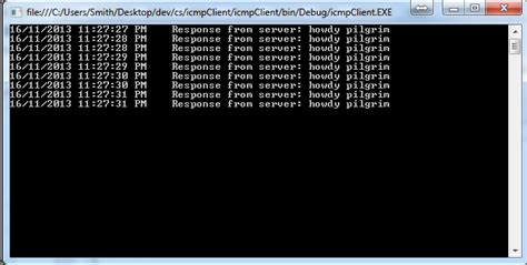 C Sending Back Custom ICMP Echo Response Stack Overflow