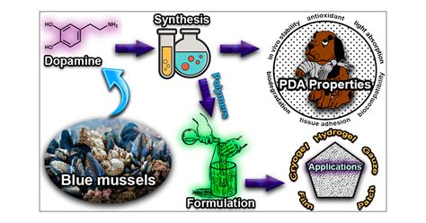 Polydopamine Biomaterials For Skin Regeneration Acs Biomaterials