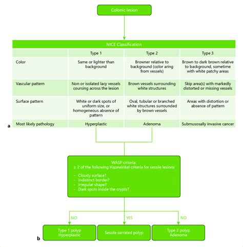 A The Nbi International Colorectal Endoscopic Nice Classification Download Scientific Diagram