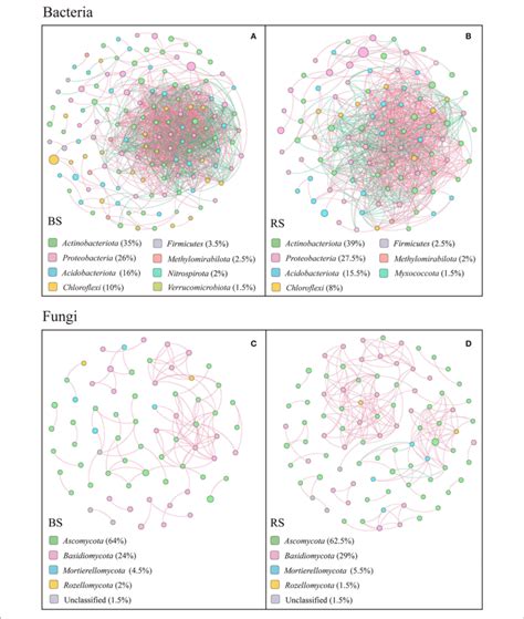 Results Of Correlation Network Analysis Of Bacteria A B And Fungi Download Scientific