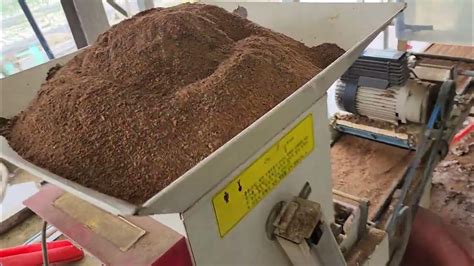 230423일 장기리벼육묘장 볍씨파종 벼종자파종 삼광벼 골든퀸3호 새청무 추청벼 영호진미 손범규농합육묘장 태국용역5명 벼농사 Youtube