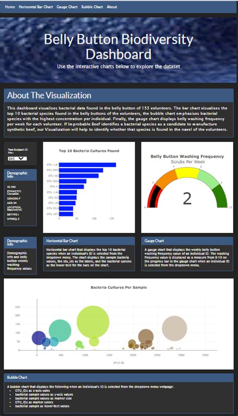 Github Aolayeye Belly Button Biodiversity Dashboard An Interactive Web Application