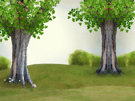 Powerpoint Tree Protection Of Nature And The Trees For Clipart Backgrounds For Powerpoint
