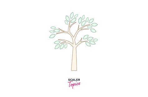 Traversal Of Binary Tree Scaler Blog