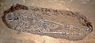 The Stone Age Burials And Tombs