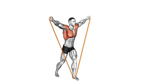 10 Landmine Shoulder Exercises For Building Strength And Size Workout