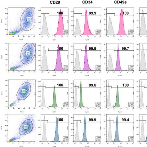 The Path For Identification Of Cell Surface Markers Various Strategies Download Scientific