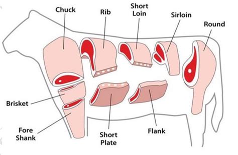Eu Beef Carcass Classification System Quizlet
