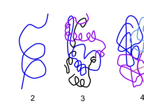 Difference Between Polypeptide And Protein Definition Structures Properties Functions Examples