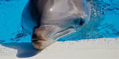 Minervasql On Linkedin Effective Annotating Of Strace Output For Mysql