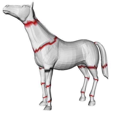 Feature Points In Green And F Level Lines For Several Meshes