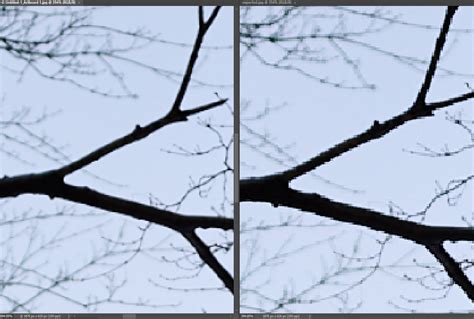 Solved Need Some Help Exporting S From Illustrator For Adobe