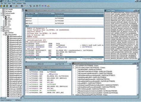 Windows Disassembler Coding Windows Analysis