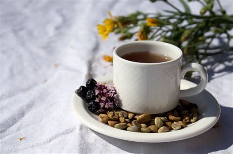 허브와 허브 코페의 화이트 컵커피 구성 콩 베리 민트 리넨 테이블볼트 갈색에 대한 스톡 사진 및 기타 이미지 갈색 건강한 생활방식 건강한 식생활 Istock