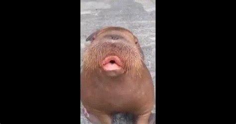 How You Look Like To Her When She Doesnt Love You Anymore Album On Imgur