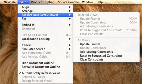 Iphone Ios Layout How To Handle Issue With Auto Height Of Uiview