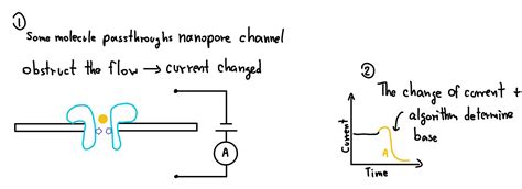 Dna Sequencing ฉบับคนทั่วไป อยู่ ตอน 3 Next Generation Sequencing Arnondora