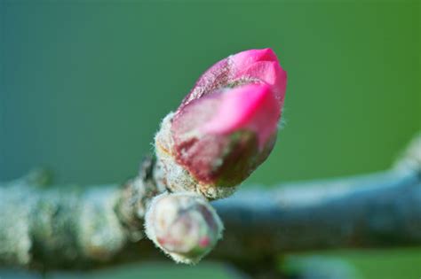 Evaluation Terms Flashcards Quizlet