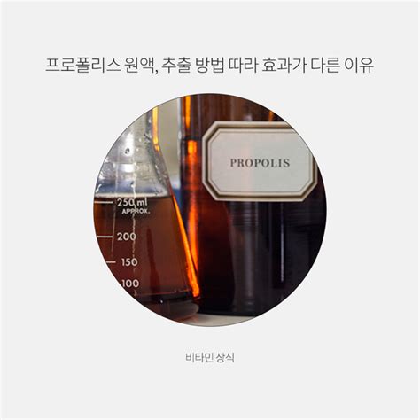 프로폴리스 원액 추출 방법 따라 효과가 다른 이유 네이버 블로그