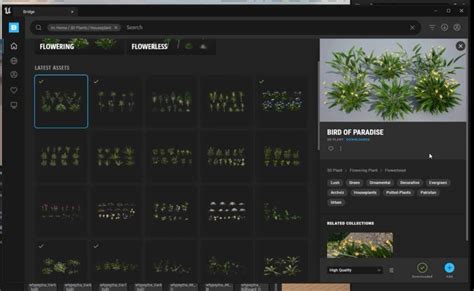 Unreal Engine Optimize Foliage For Realistic Scenes