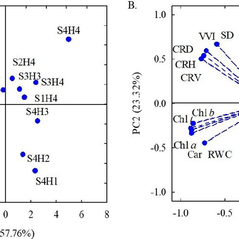 Two Dimensional Projection Of The Scores Of The Principal Components Download Scientific
