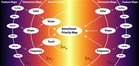 Hierarchy Of Intra And Cross Modal Redundancy Gains Msense Lab Lmu