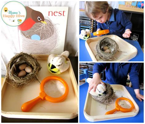 Build A Bird Nest Mama S Happy Hive