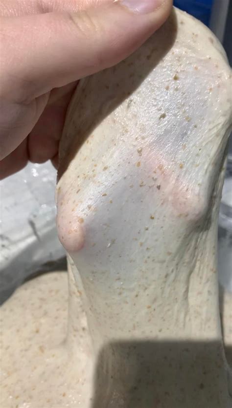 That Dough Extensibility Tho Rbreadit