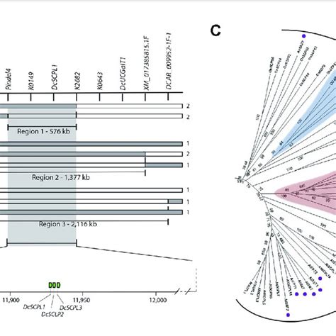 Comparative Transcriptome Analysis Of Candidate Genes Potentially Download Scientific Diagram