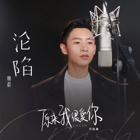 魏晨献唱《原来我很爱你》片尾曲《沦陷》 音画联动浪漫上线 哔哩哔哩