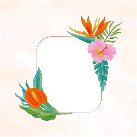 여름철 수채화 프레임 템플릿 무료 벡터