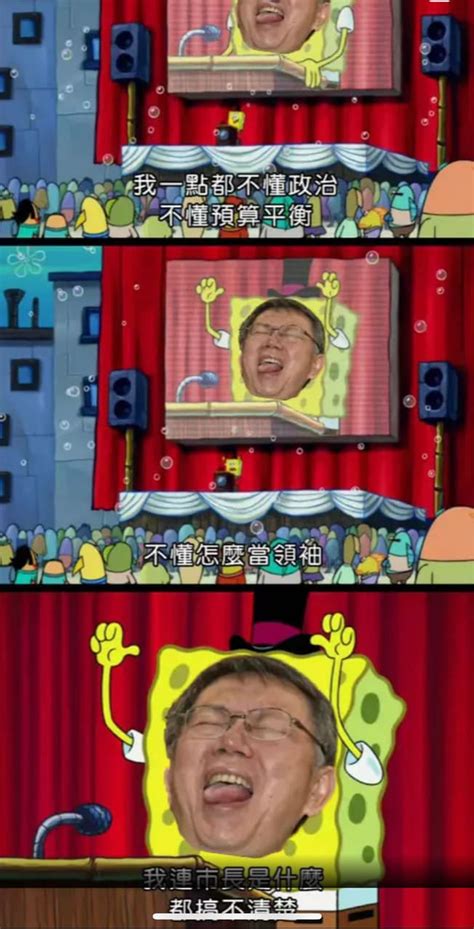 雜草廢青：一定又是民進黨的陰謀🤭我家的人最乖了絕對沒有錯🤡 時事板 Dcard