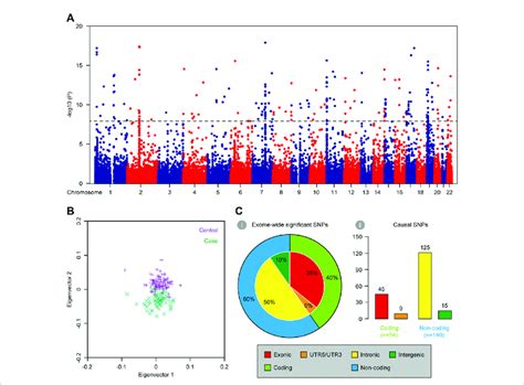Characterization Of Causal Snps For Complex Vsd Via Exome Wide Download Scientific Diagram