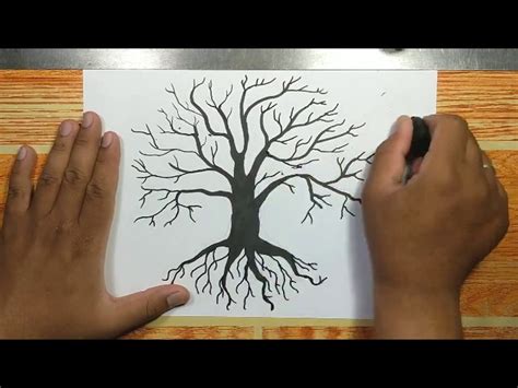 How To Draw A Simple Tree With Branches