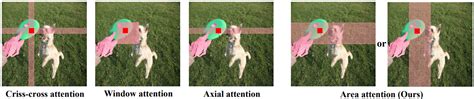 Yolov12 Object Detection Meets Attention