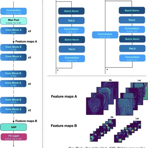 Components Of The Feature Extractor In More Detail The Backbone Download Scientific Diagram