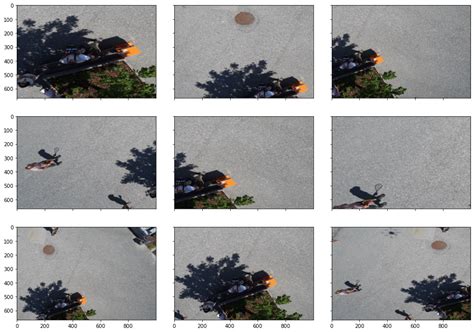 Data Augmentation With Albumentations Julius Data Science Blog