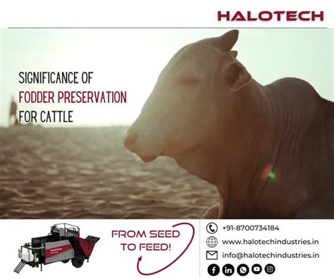 Saurav Subedi Posted On Linkedin