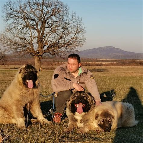 Ветеринарна клиника Заравет Асеновград Д р Георги Вълков е родом от Тополовград Завършва