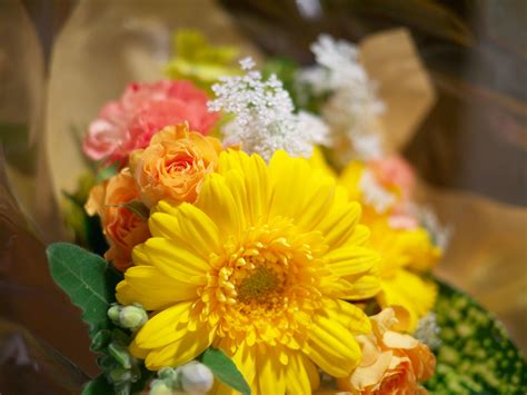 ゆんフリー写真素材集 No 12000 カツ丼 日 vrogue co