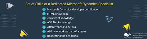 Microsoft Dynamics Developer Skills Skillsyouneed