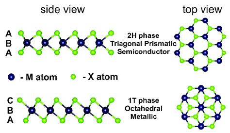 Different Structural Models Of The 2h And 1t Polymorphs In A Mx 2
