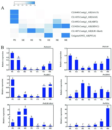 The Validation Of Rna Seq Data A Heatmap Expression Profile Of The