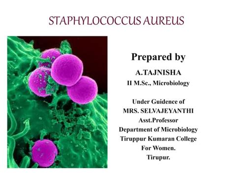 Staphylococcus Aureus Pptx