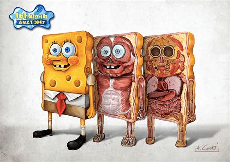 Inhuman Anatomy — Spongebob Anatomy Limited Edition Of 100 Giclèe Print On Fine Art Canvas