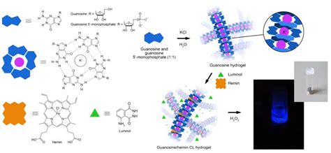Article Mdpi Smartphone Hydrogel Glucose Biosensors Sensors Openaccess Abstract