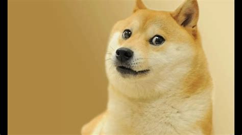 Babft Working Script Babft СКРИПТ Youtube